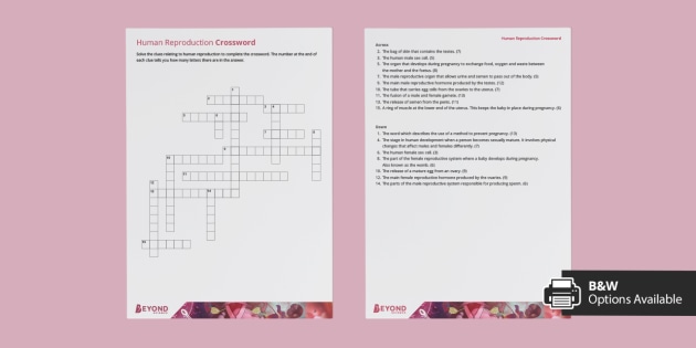 KS3 Human Reproduction Crossword (teacher made)
