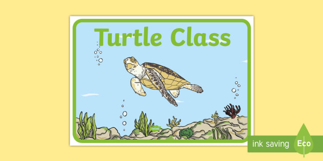 FREE! - 👉 Turtle Class Display Posters (teacher made)