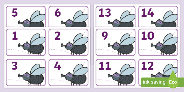 Fly Themed 1 - 20 Number Cards