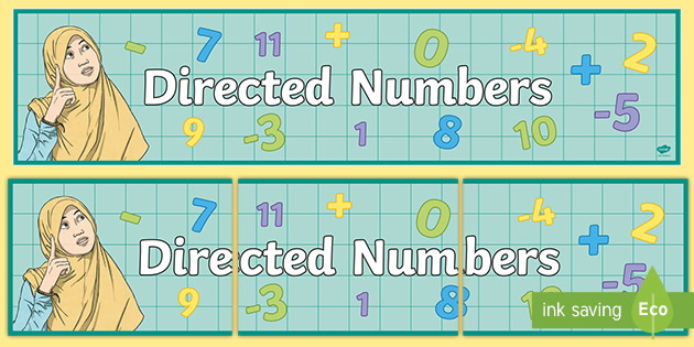 Directed Numbers Display Banner (teacher made)