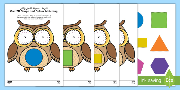 Owl Themed Colour Matching Activity - Arabic/English