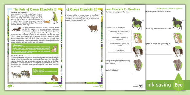 The Pets of Queen Elizabeth II Differentiated LKS2 Reading Comprehension
