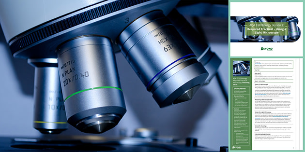 Cell Biology 2: Microscopy Required Practical | Beyond