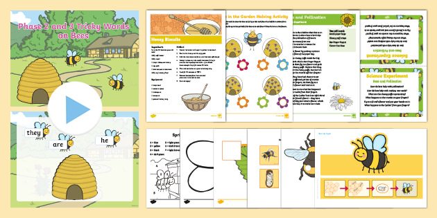 All About Bees Resource Pack EYFS (teacher made)