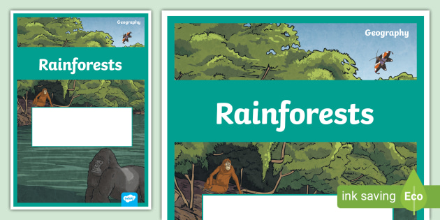 FREE! - Rainforest Topic Editable Book Cover (teacher made)