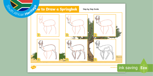 How to Draw a Springbok (teacher made)