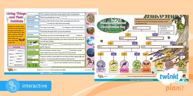 Interactive PDF: Science: Year 4: Living Things and Their Habitats