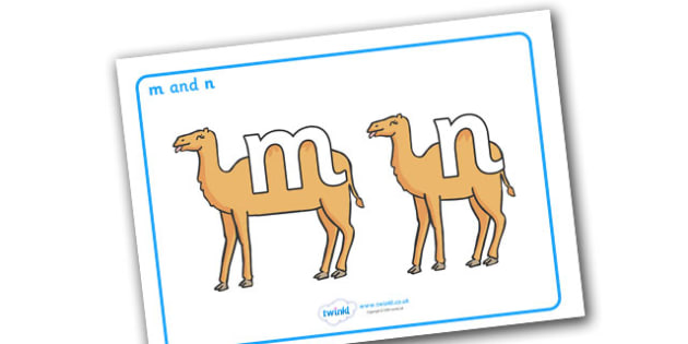 M and N Display Poster