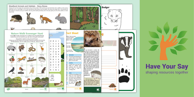 Woodland Animal Journey Resource Pack (teacher made)