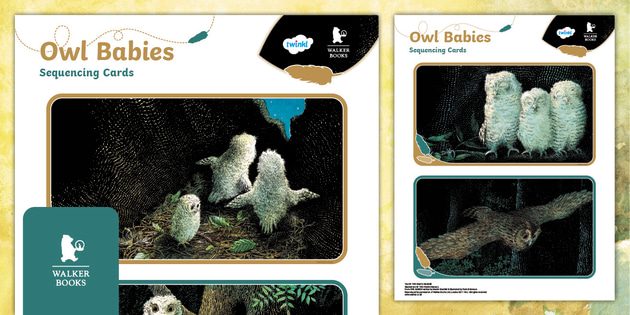 FREE Owl Babies Sequencing Cards (teacher made)