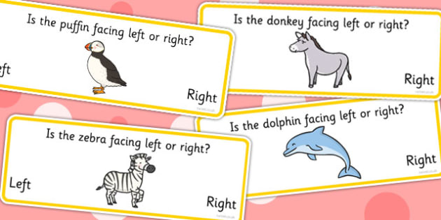 Right And Left Animal Worksheets (teacher made)