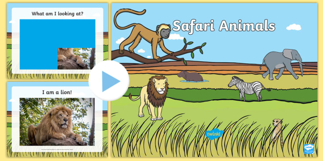 Safari Animals PowerPoint | Behind the Binoculars | Twinkl