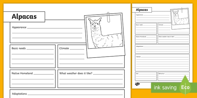 Alpaca Research Writing Template (teacher made)