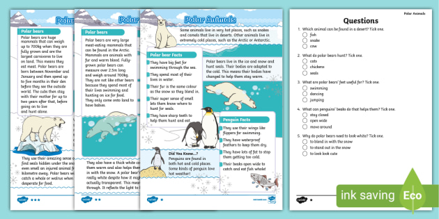 Polar/Arctic Animals Reading Comprehension | KS1 English