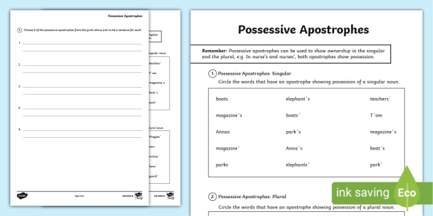 Possessive Apostrophes Worksheet (teacher made)