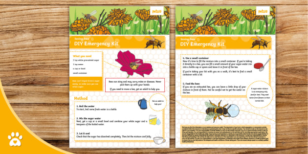 Saving Bees - DIY Emergency Kit - Bee Revival Kit - Pets