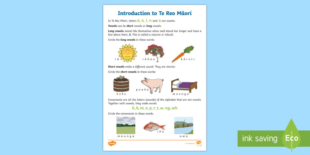 Maori Language Week Introduction to Te Reo Maori Worksheet / Worksheet ...
