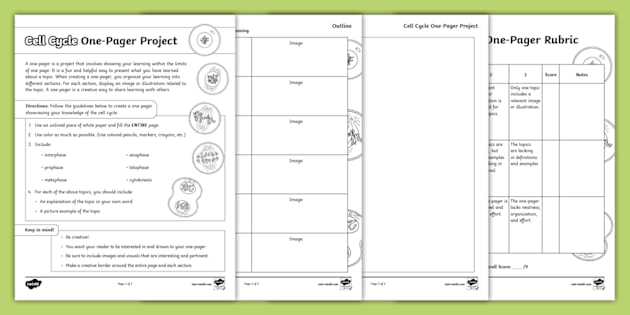 The Cell Cycle Worksheet Cell Cycle And Division: Modified True/False