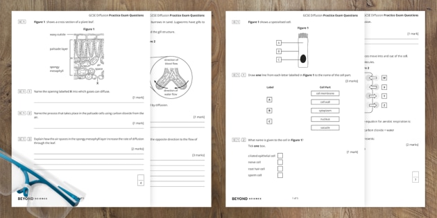 GCSE Diffusion Practice Exam Questions | AQA | Beyond