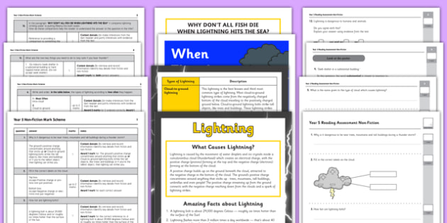 Year 5 Term 1 Non-Fiction Reading Assessment (teacher made)