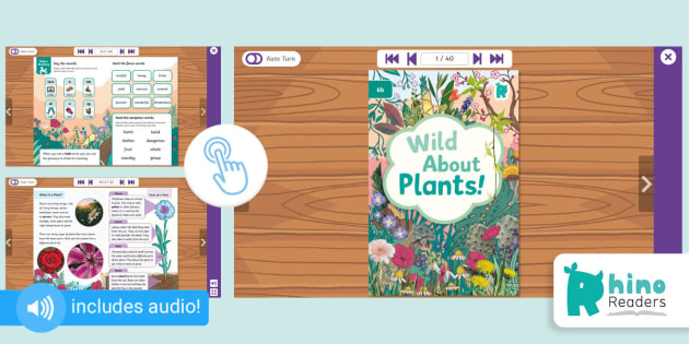 Plants Reading Worksheets | twinkl.com.au