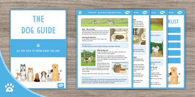 The Ultimate Dog Handbook - Pet Care Guide - Twinkl Pets