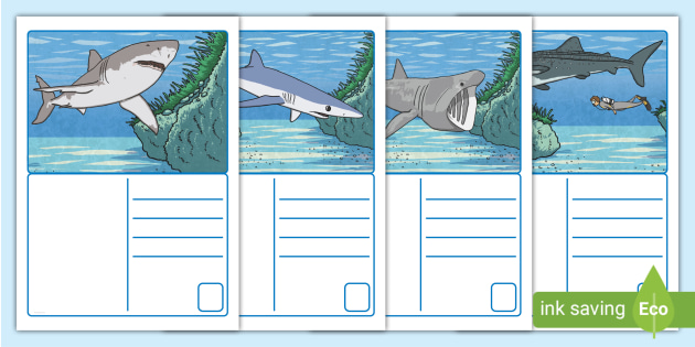FREE! - Shark Themed Postcards (teacher made)
