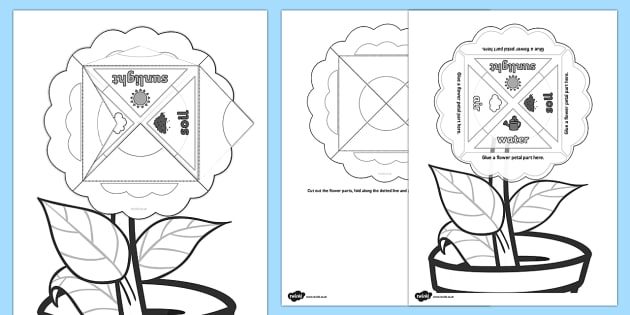 FREE! - What Plants Need Interactive Visual Aid Template