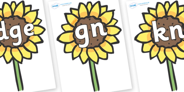 Silent Letters On Sunflowers Teacher Made