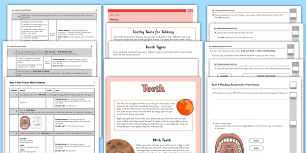 Year 4 Term 1 Non-Fiction Reading Assessment