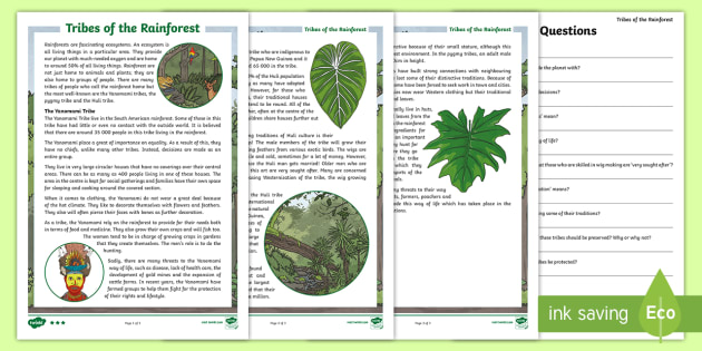 Tribes of the Rainforest Differentiated Reading Activity Tribes of the Rainforest Differentiated Reading Activity