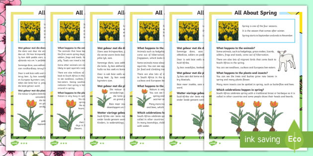Spring Differentiated Reading Comprehension Activity