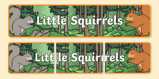 FREE! - Squirrel Themed Classroom Display Banner