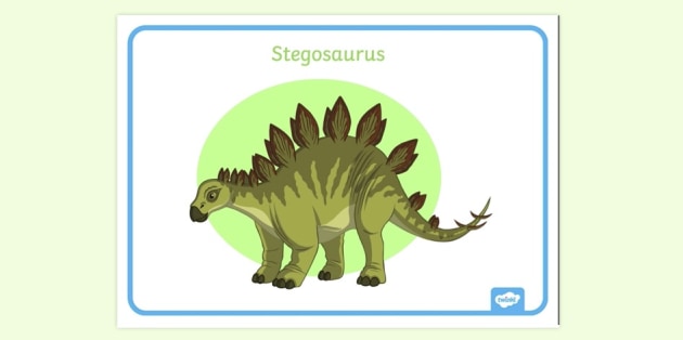 Stegosaurus Poster Display | Primary Resources