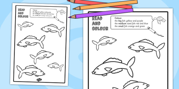 Fish Read and Colour Worksheet (teacher made)