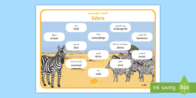 Safari Zebra Word Mat Word Mat - Arabic/English