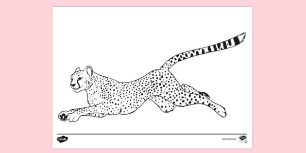 FREE! - Cheetah Running Colouring Sheet | Colouring Sheets