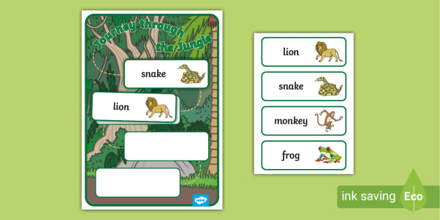 Journey through the Jungle Sequencing Board (teacher made)
