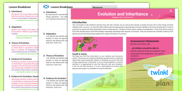 Free Science Evolution And Inheritance Year 6 Planning Overview Cfe