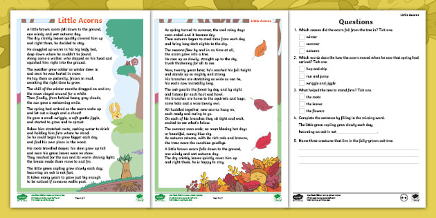 Little Acorns Differentiated Reading Comprehension Activity