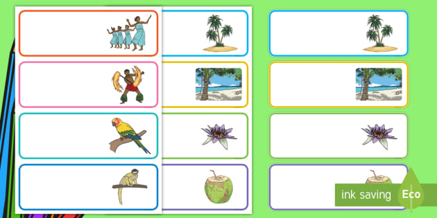 Tropical Drawer Labels (teacher made)