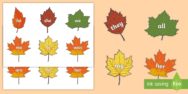 Phase 3 Autumn Leaves Tricky Words Display Cut-Outs