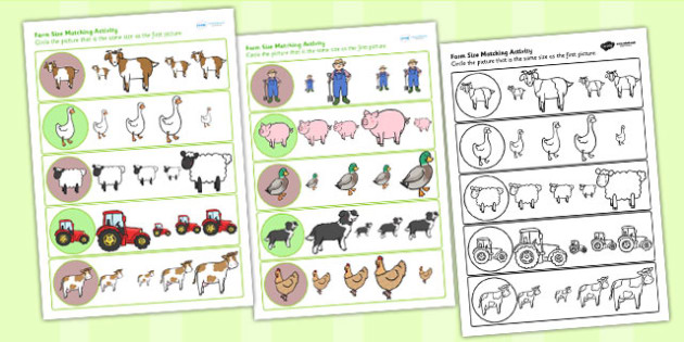 Farm Size Matching Worksheet