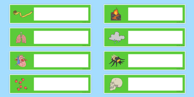 Science Themed Editable Gratnells Tray Labels - tray labels