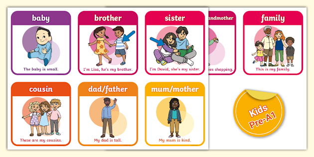 Family Members Flashcards | twinkl.co.uk