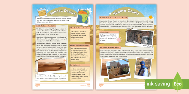 10 Facts About Desert Plants Fact File Background Information And