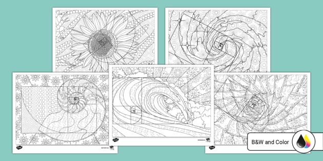 Fibonacci Sequence in Nature Mindfulness Coloring Sheets