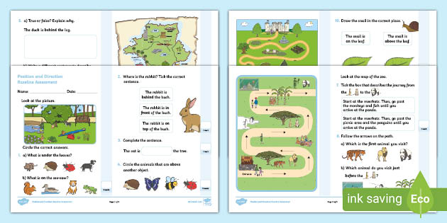 👉 Y1 Position and Direction Baseline Assessment