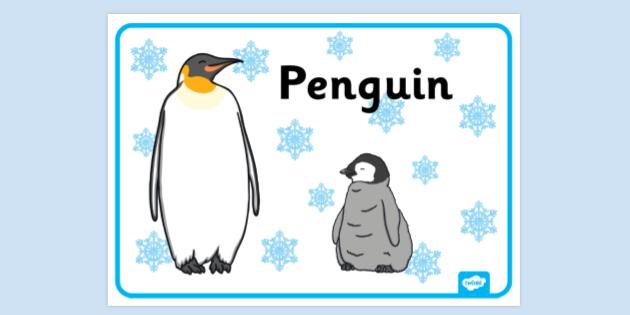 FREE! - Penguins Poster for Kids | Primary Resources