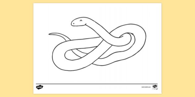 FREE! - Red Bellied Black Snake Colouring Sheet | Colouring Sheets